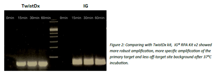 ig® Recombinase Polymerase Amplification (RPA) Kit v2