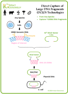 Direct Capture of Large DNA Fragments - Intact Genomics